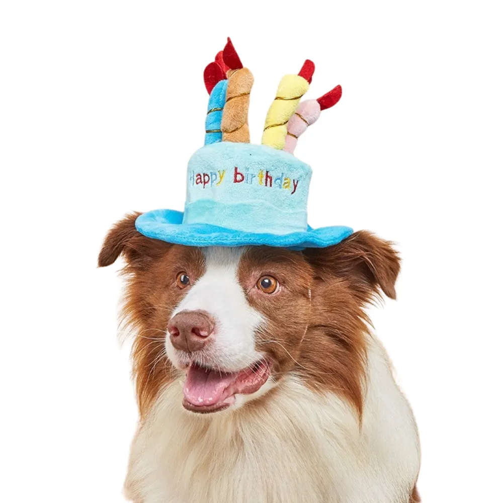 Pet Party Supplies Adorable Happy Birthday Dog Party Hat Toy Wholesale ...