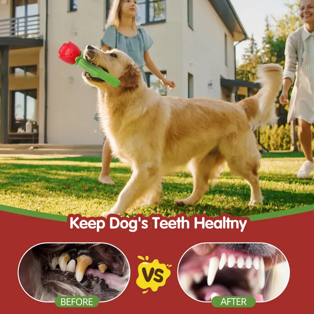 Dog Rose Flower Chew Toy Floating Dental Stick Interactive Elastic for ...