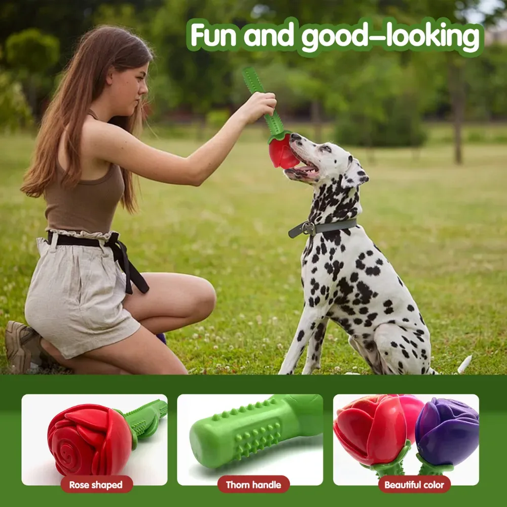 Dog Rose Flower Chew Toy Floating Dental Stick Interactive Elastic for ...