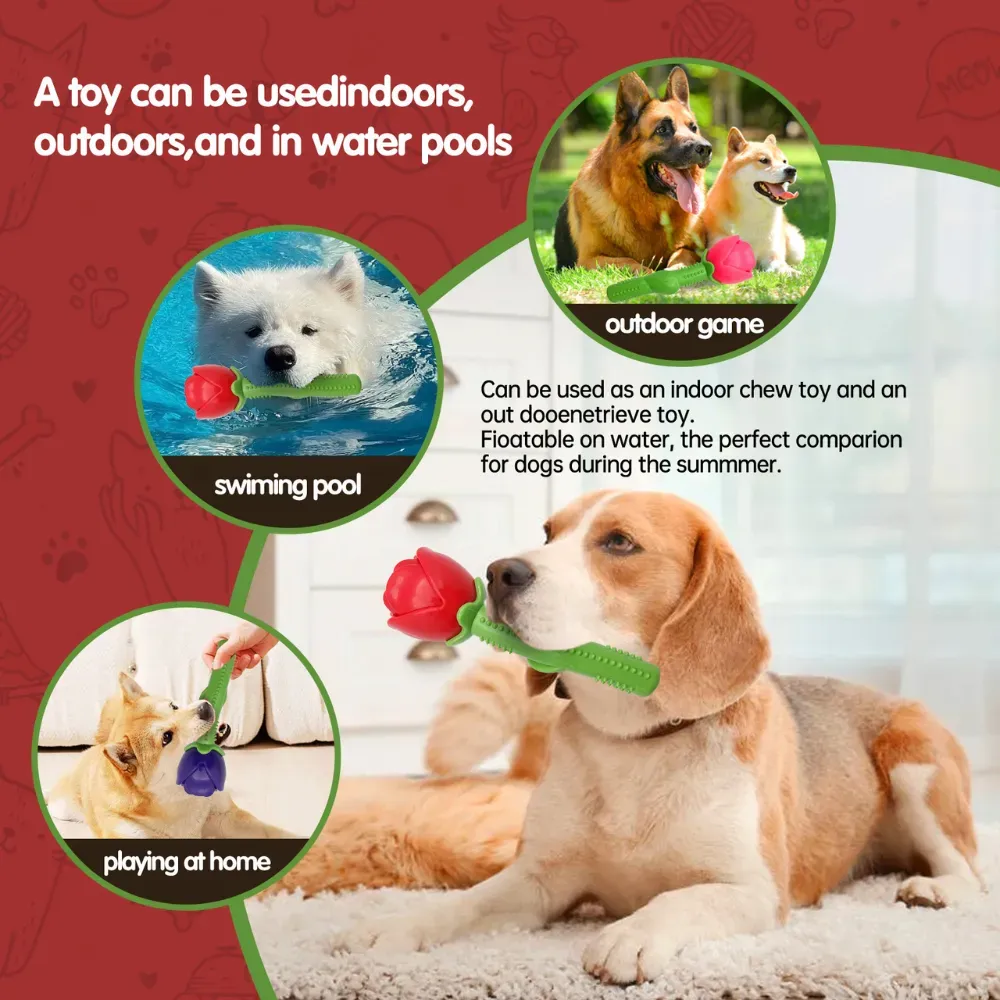 Dog Rose Flower Chew Toy Floating Dental Stick Interactive Elastic for ...